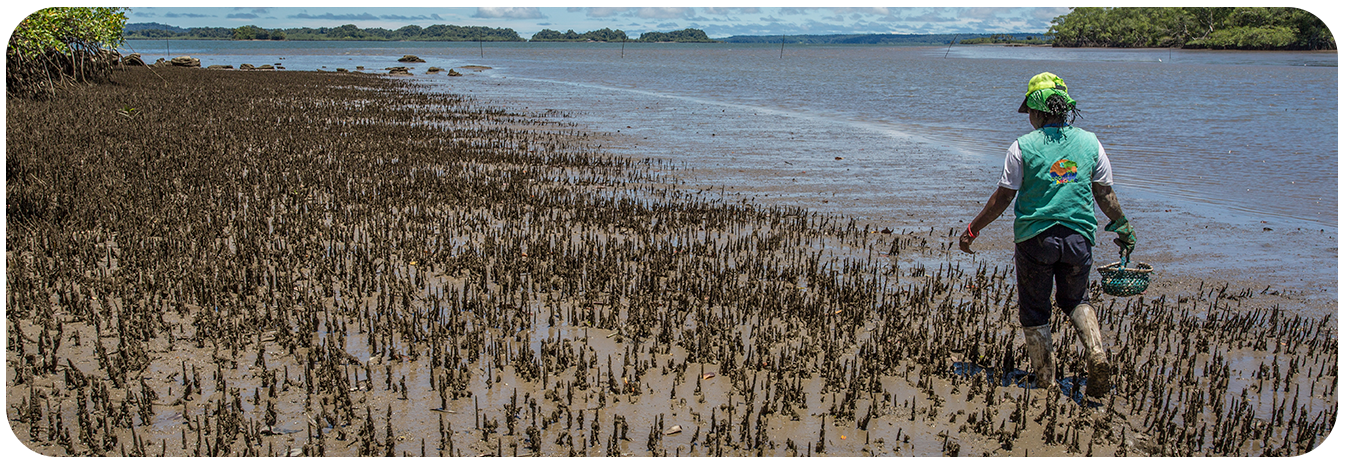 La investigación: palanca de valor para el cierre de brechas ...